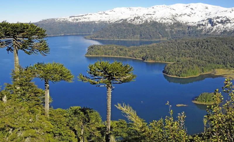 Geopark Kütralcura in Chile in die UNESCO Global Geoparks aufgenommen ☀ ...