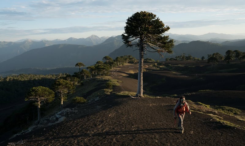 Geopark Kütralcura in Chile in die UNESCO Global Geoparks aufgenommen ☀ ...